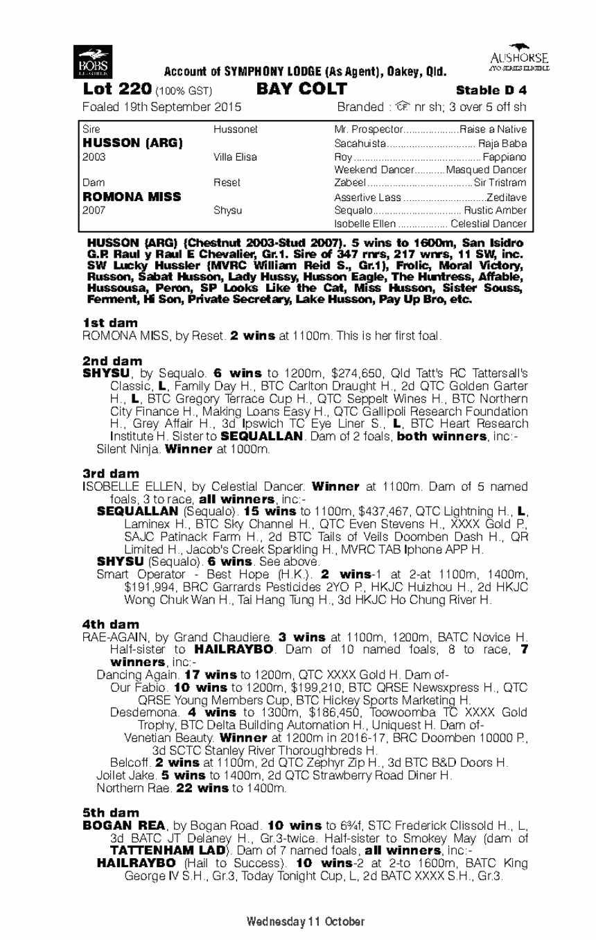 Team Winner Thoroughbred Horse Profile Next Race Form Stats News team-winner-thoroughbred-horse-profile-next-race-form-stats-news