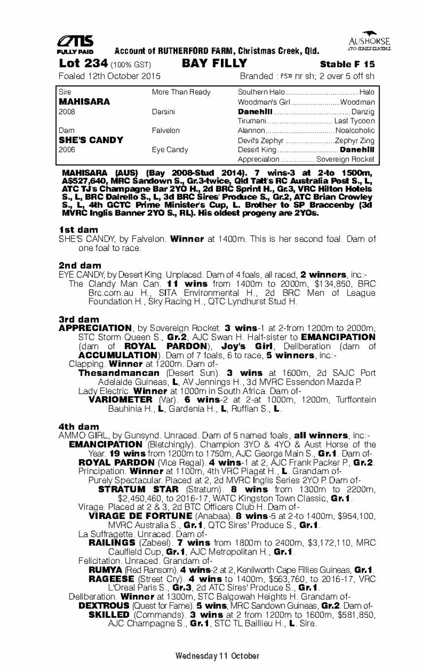 Lollipop Rocket Thoroughbred Horse Profile - Next Race, Form, Stats ...