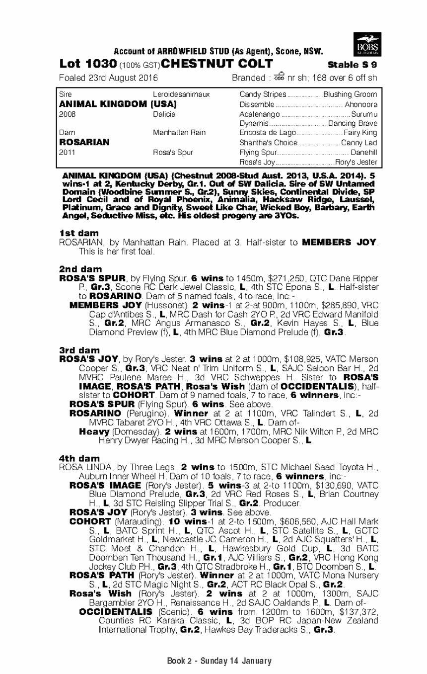 Congaree Thoroughbred Horse Profile - Next Race, Form, Stats, News ...