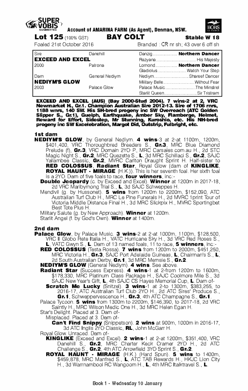 Varsity Thoroughbred Horse Profile - Next Race, Form, Stats, News ...