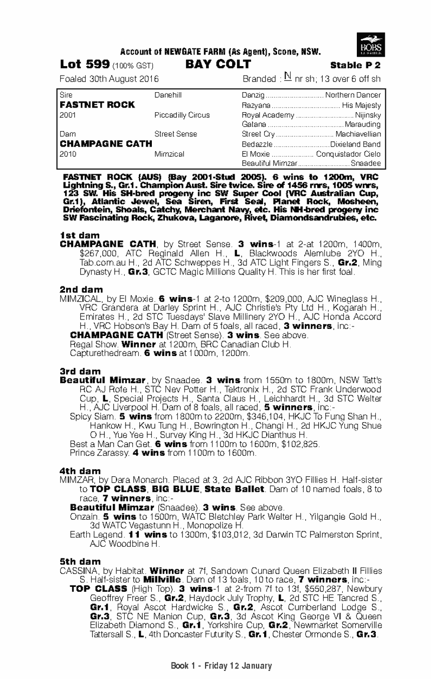 Pindaric Thoroughbred Horse Profile - Next Race, Form, Stats, News ...