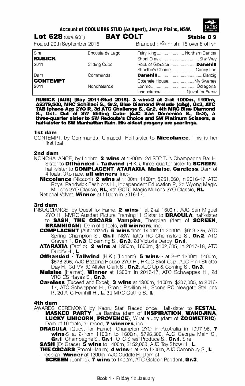 Contemptuous Thoroughbred Horse Profile - Next Race, Form, Stats, News ...