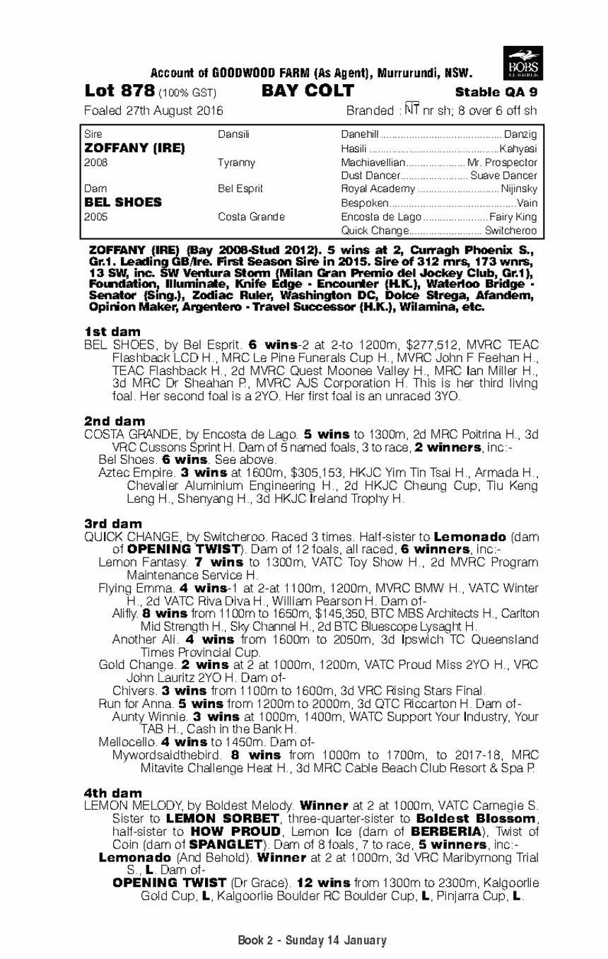 Flashlin Thoroughbred Horse Profile - Next Race, Form, Stats, News ...