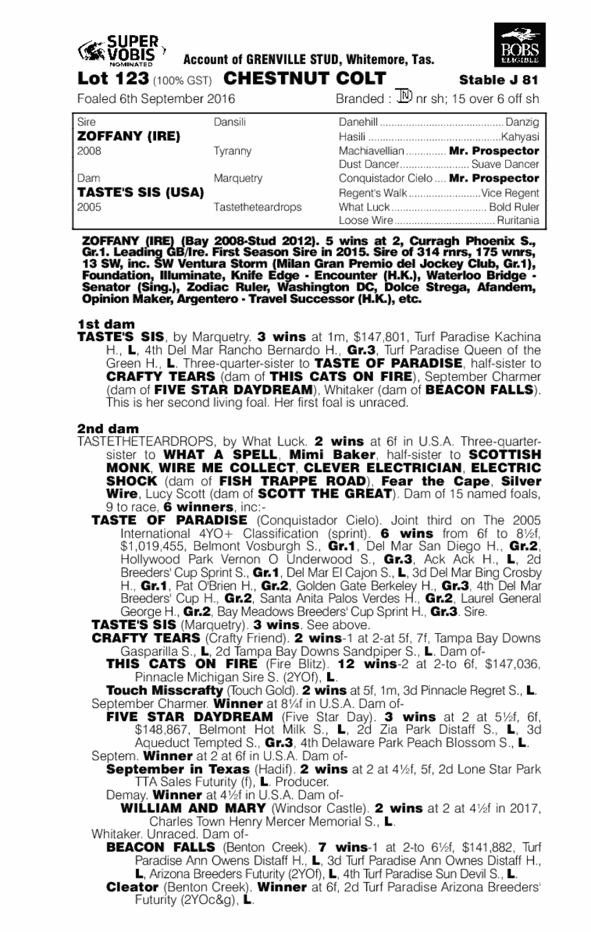 High Maintenance Thoroughbred Horse Profile - Next Race, Form, Stats ...